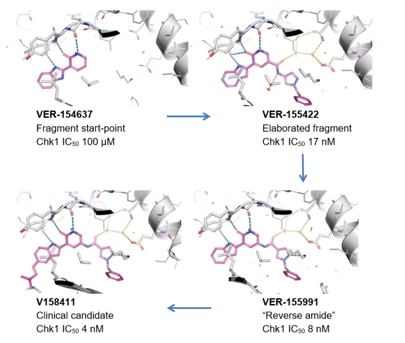 Checkpoint kinase 1 (Chk1) – pre-clinical candidate